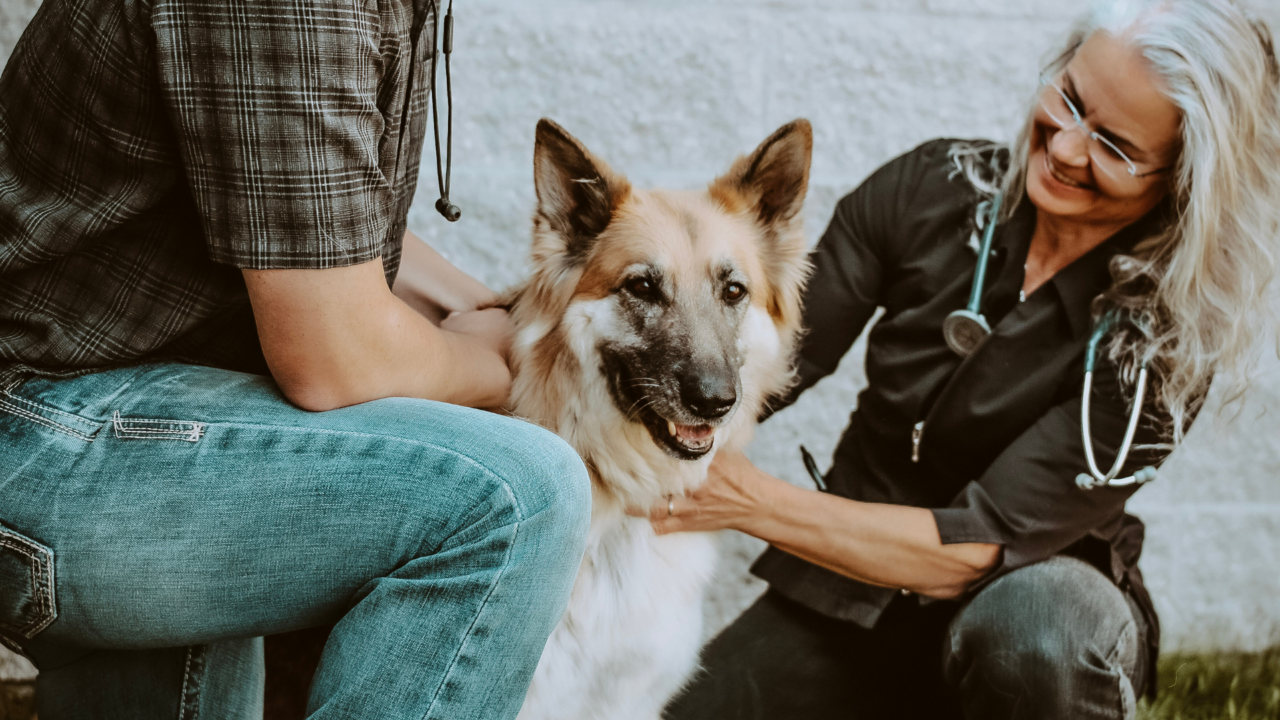 Riverton, WY Veterinary Services – The Stock Doc Veterinary Services