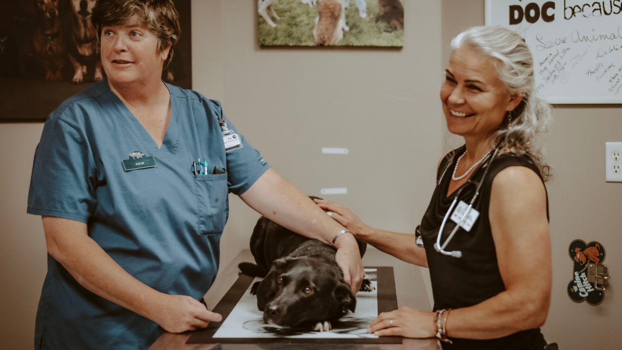Riverton, WY Veterinary Services – The Stock Doc Veterinary Services