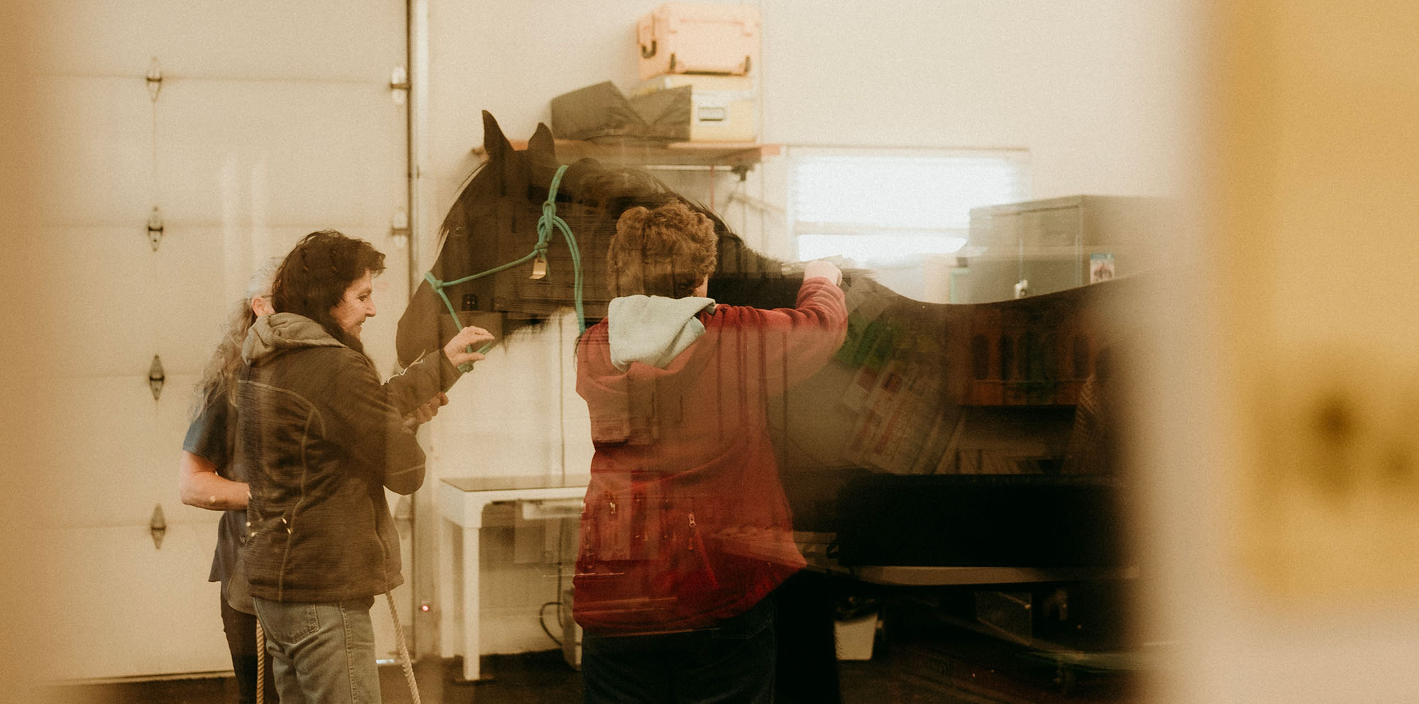 Equine Reproduction In Riverton, WY | The Stock Doc Vet